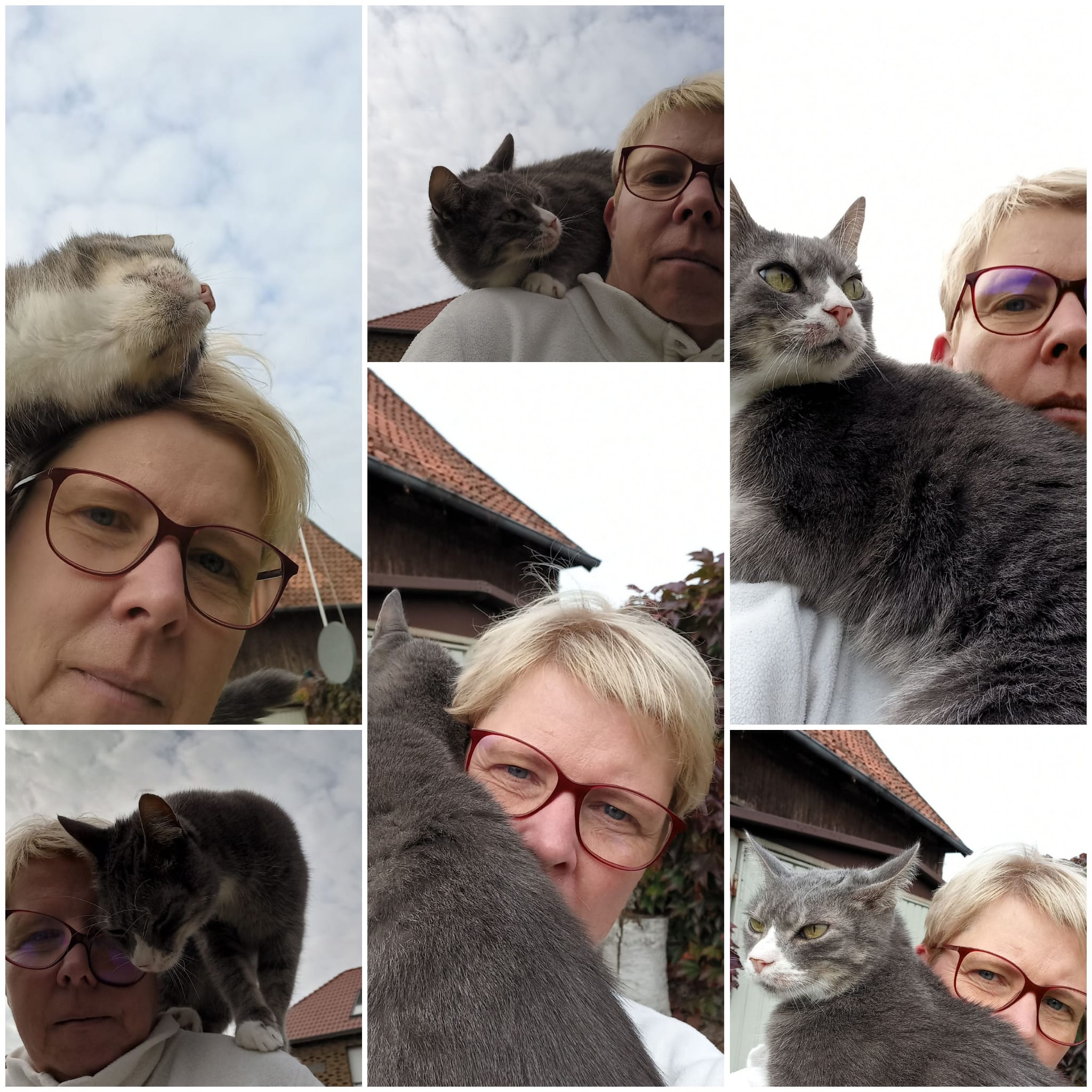 Case Study Morpheus – "He has completely changed!" - Soul Cats